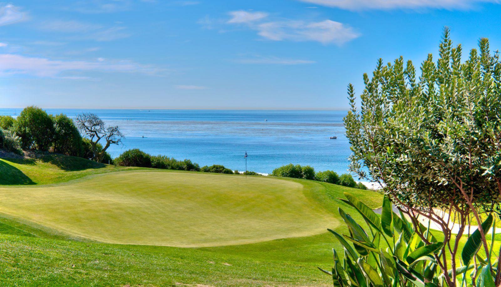 Where to Play - FlingGolf®